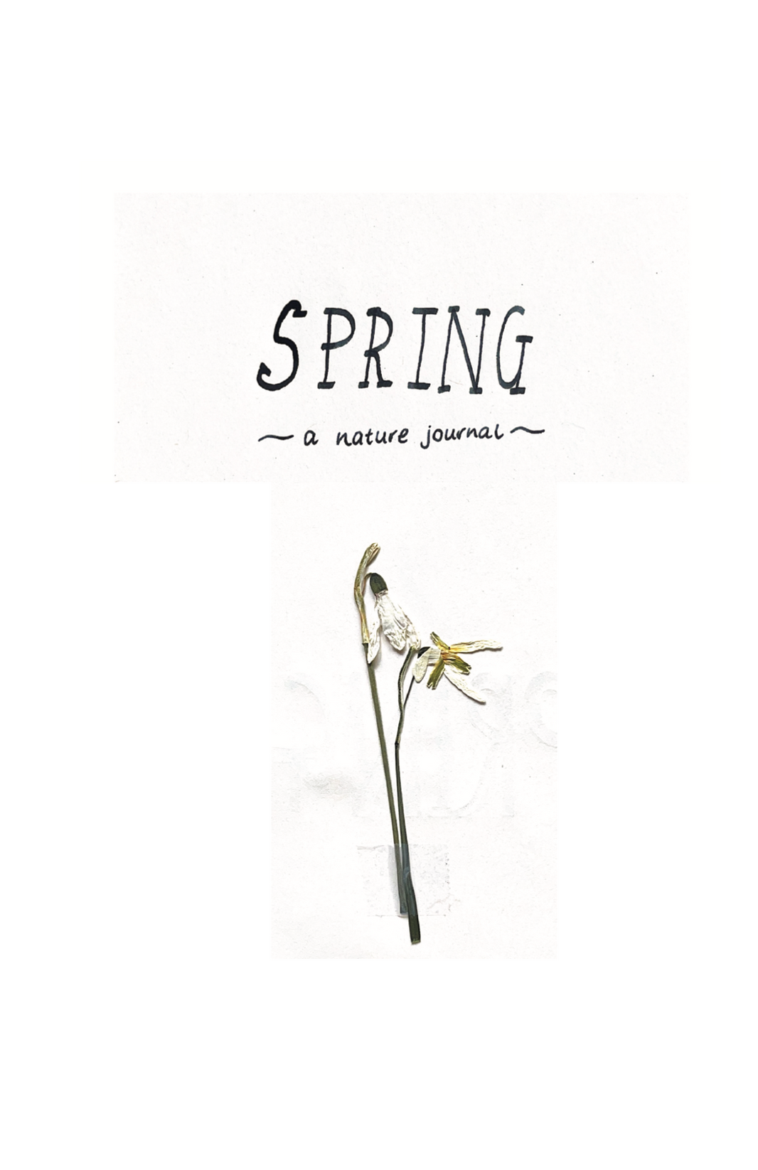 Products – Ruby Granger